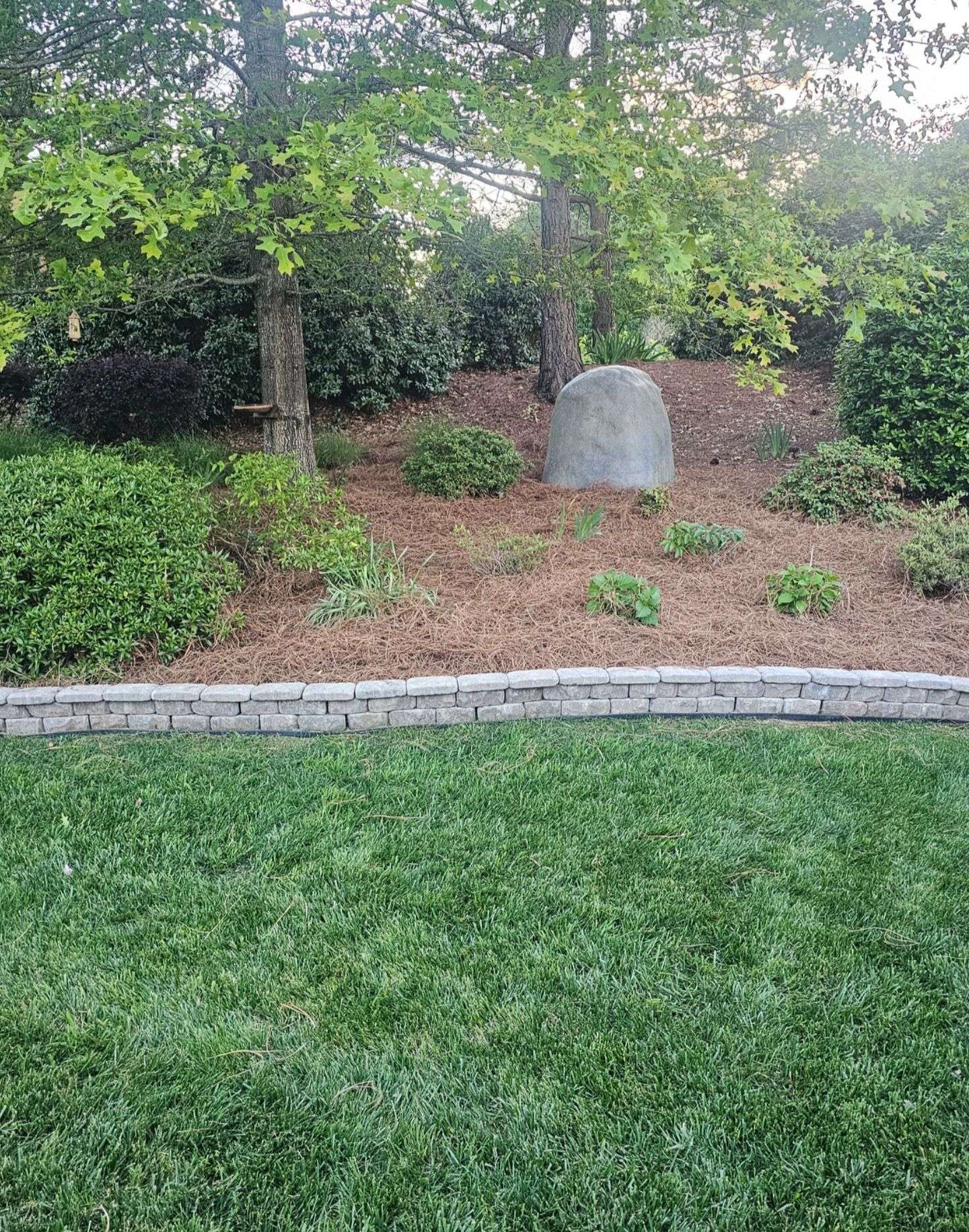 Gallery | Artificial Turf | Carolina Turf Systems